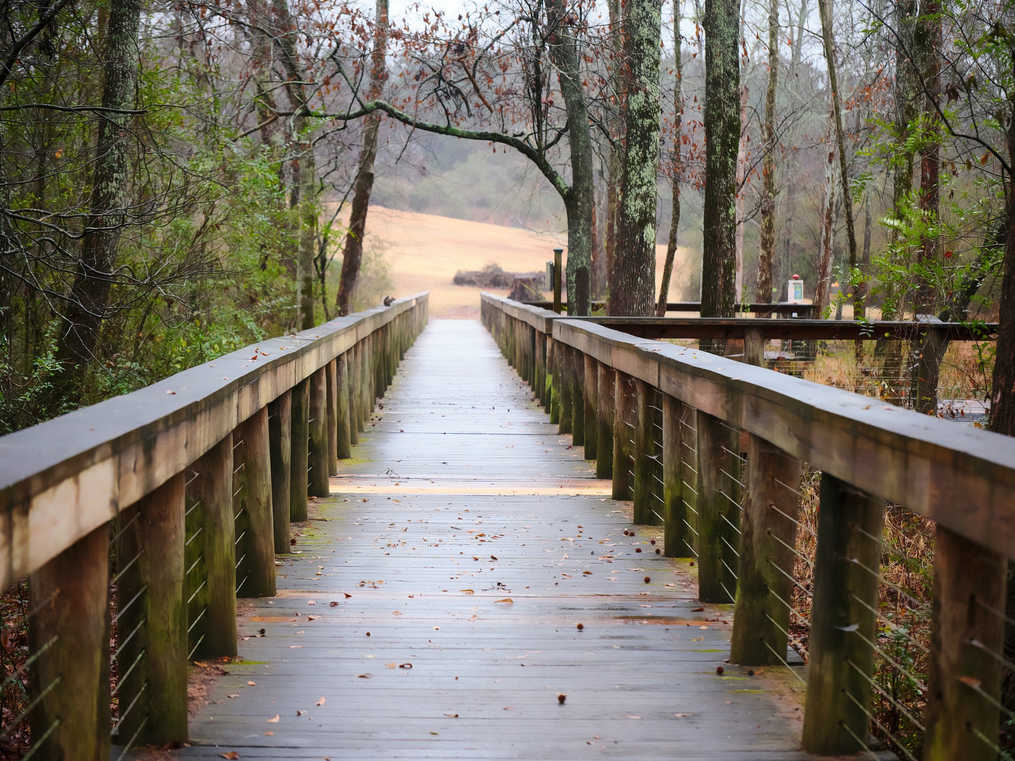 “I hate my life.” – caroline price